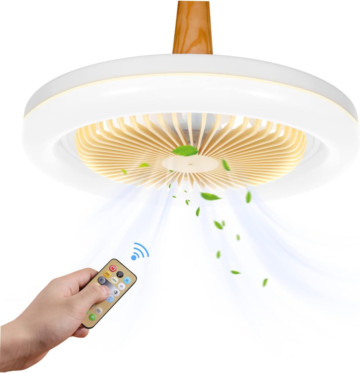 LED Ceiling Fan – Kanta Stores