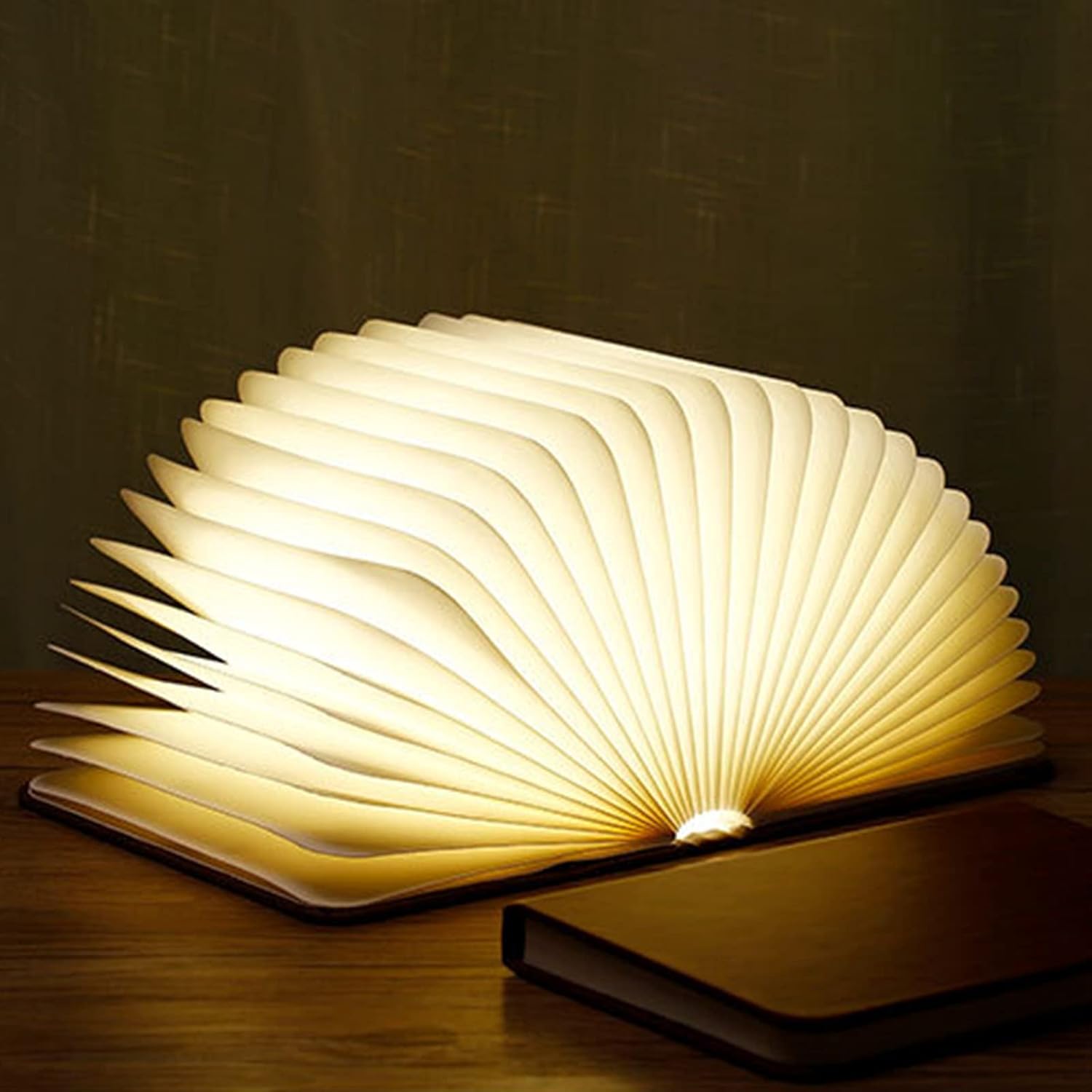 USB Rechargeable Book Lamp – Kanta Stores
